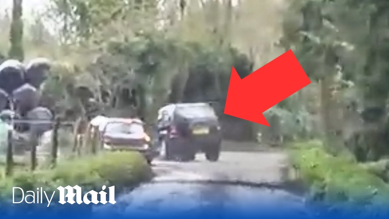 Moment out of control driver ploughs into a hedge during high-speed police