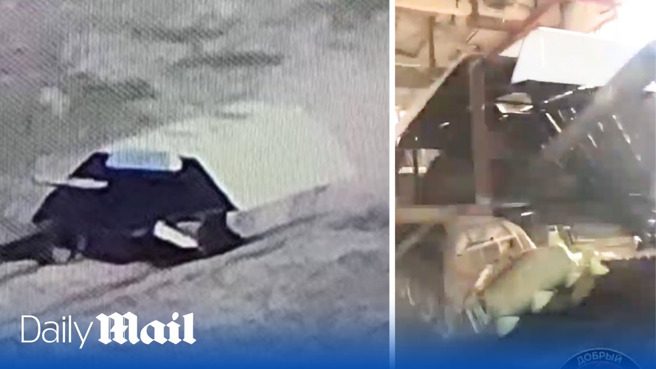 Blyat-mobile: Russian tank covered in armour plating takes part in attack