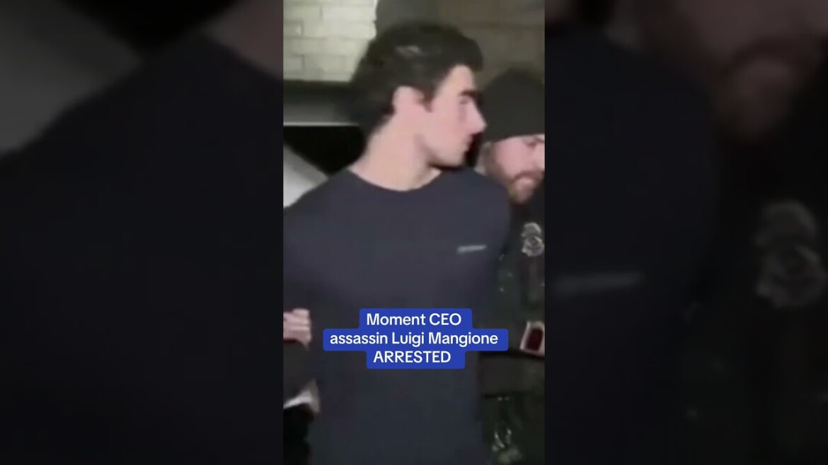 Moment CEO assassin Luigi Mangione is ARRESTED
