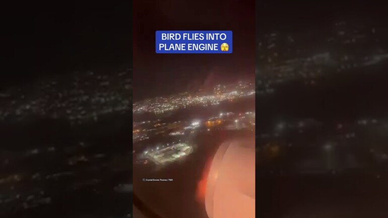 Terrifying moment bird flies into plane engine
